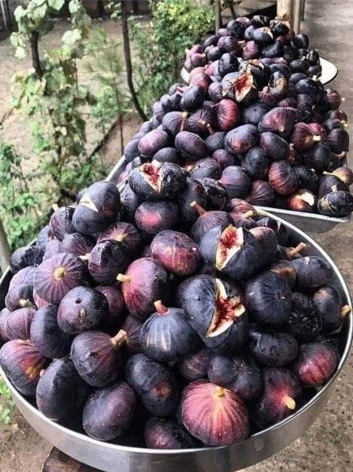 HIGOS: NO SON FRUTAS - Artesanías Ecuatorianas